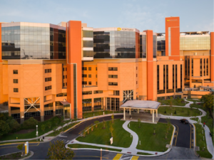 KitCheck Anywhere - Bluesight