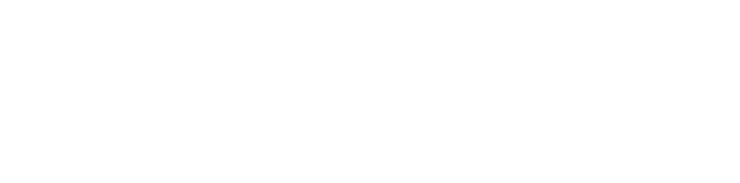 KitCheck Anywhere - Bluesight